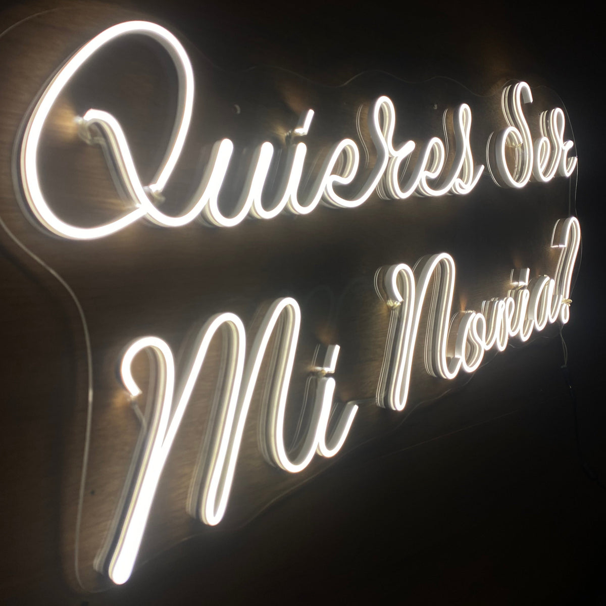 Letrero Led Neón con Frase Quieres Ser Mi Novia en Luz Cálida – La ...